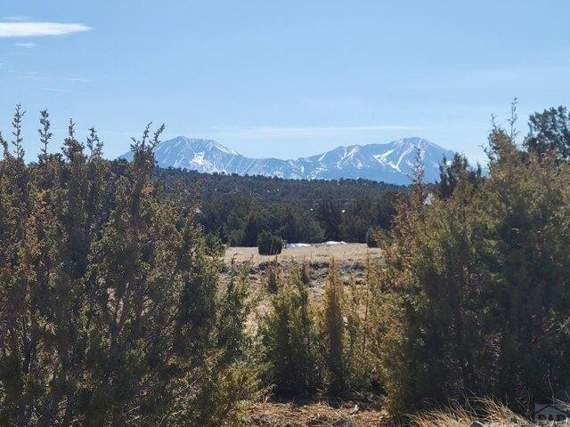 Walsenburg CO 81089 LS94901619