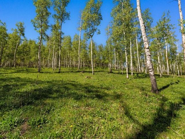 Wapiti Lot 37, Telluride, CO 81435