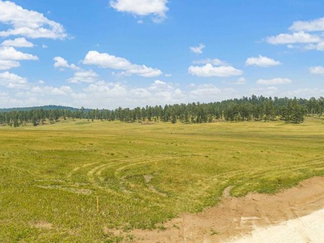War Bonnet Rd, Custer, SD 57730