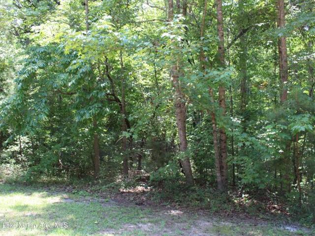 War Dance Crt Lot 12, Dadeville, AL 36853