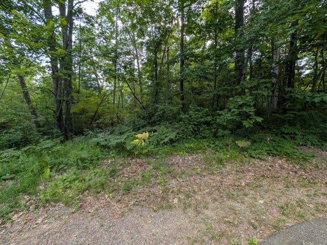 Warbonnet Ln Lot 7, Hazelhurst, WI 54531