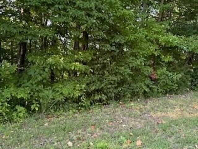 Warbler Pt, Sevierville, TN 37876