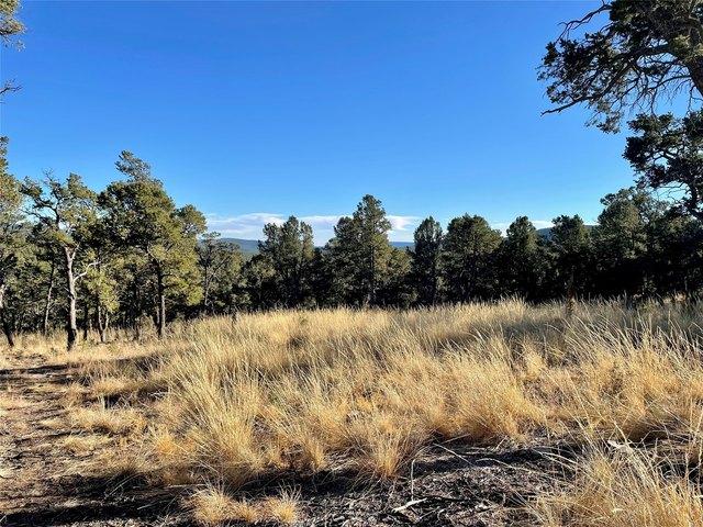Warbler Way, Pecos, NM 87552