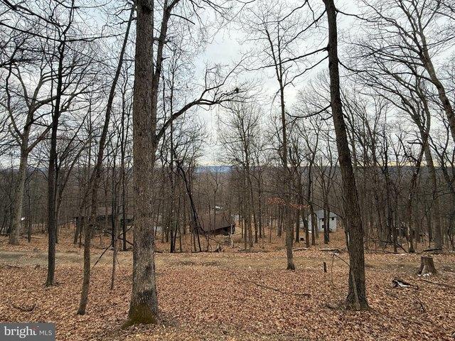 Warblers Way, Berkeley Springs, WV 25411