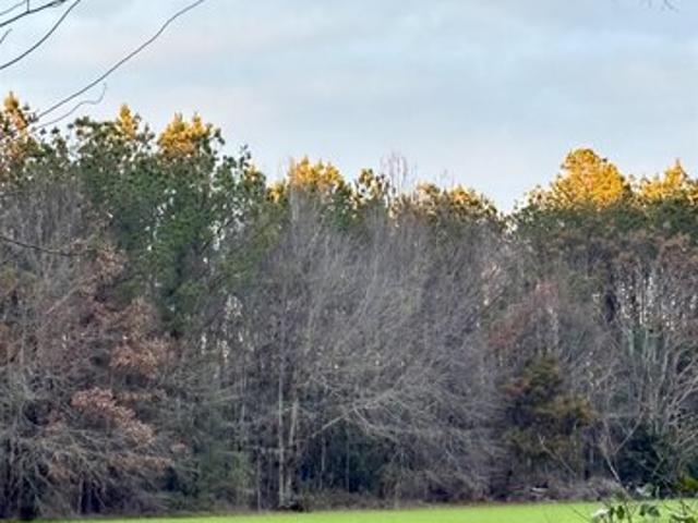 Ward Rd, Frisco City, AL 36445