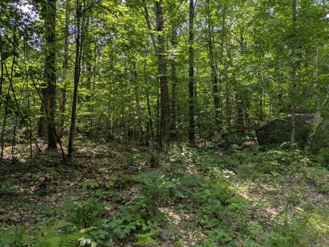 Ward Way Lot,limerick, Plot For Sale