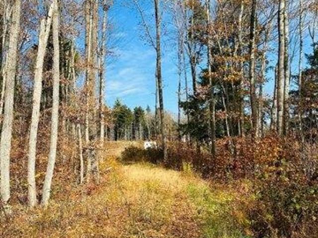 Wardsboro VT 05355 LS101661162