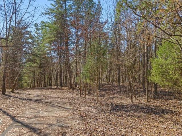 Ware Farms Rd, Spring City, TN 37381