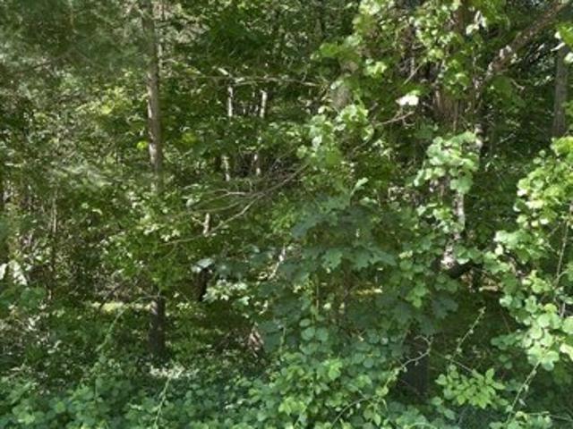 Ware Rd Lot A, Belchertown, Plot For Sale