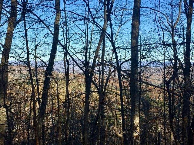 Warne, NC 28909