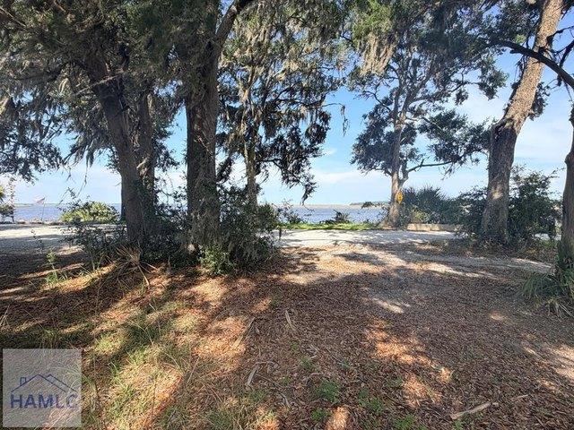 Warnell Dr Lot 6, Richmond Hill, GA 31324
