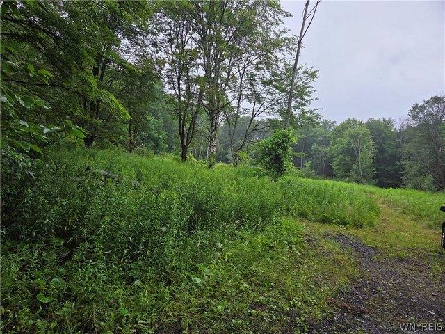 Warner Gulf Rd, Holland, NY 14080