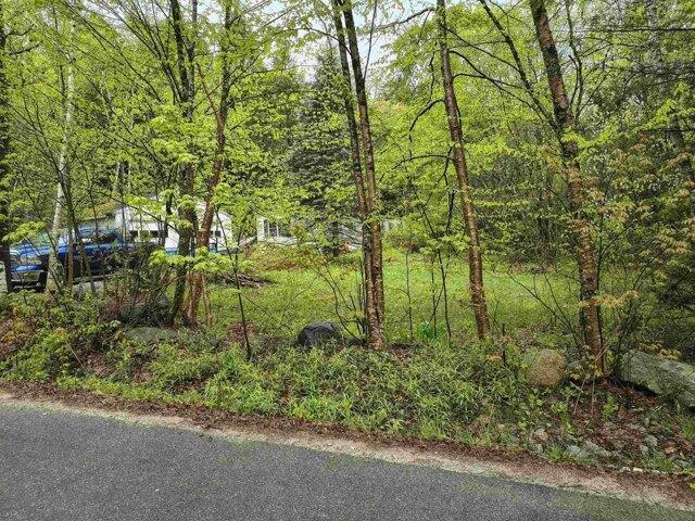 Warner NH 03278 103033333