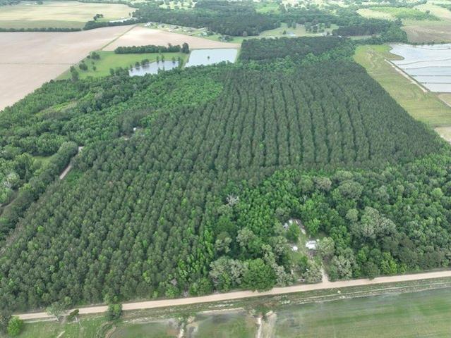 Warren Camp Rd, Ville Platte, LA 70586