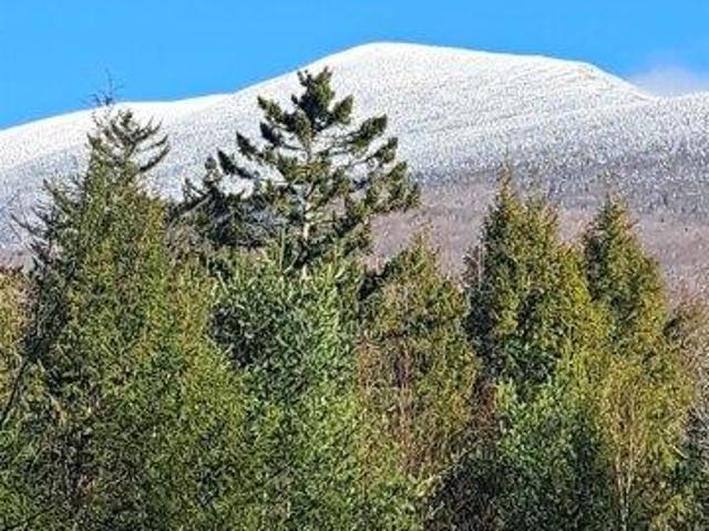Warren NH 03279 LS101705288