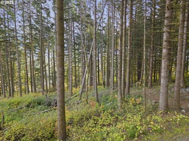 Warren RD # 3