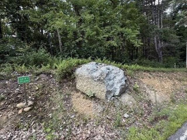 Warren Rd, Brimfield, Plot For Sale