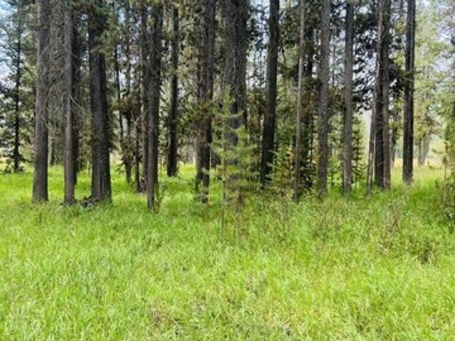 Warren Wagon Rd Lots 9 & 10, Secesh, ID 83638