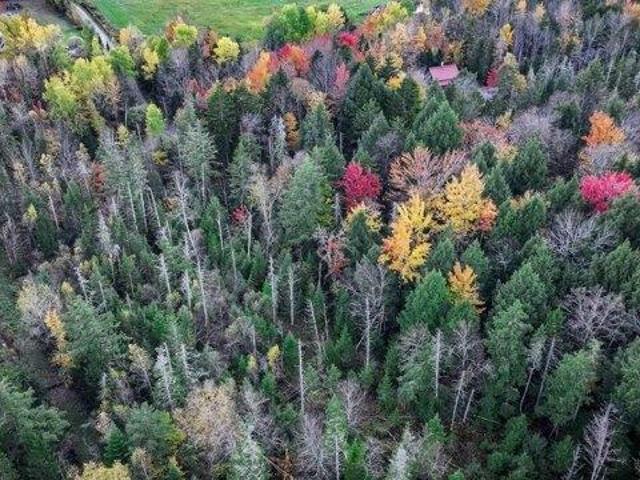 Warren VT 05674 104810133