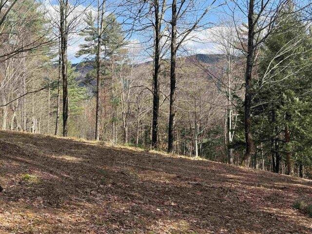 Warren VT 05674 104830851