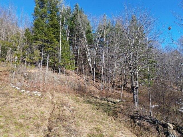 Warren VT 05674 101857189