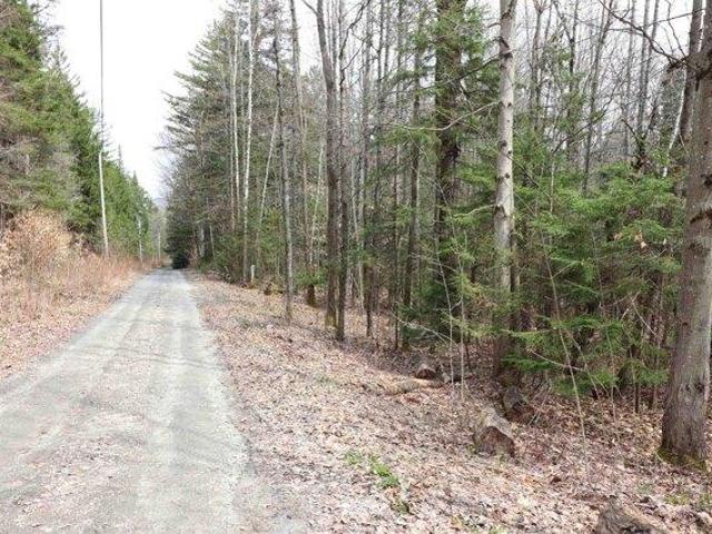 Warren VT 05674 102583300