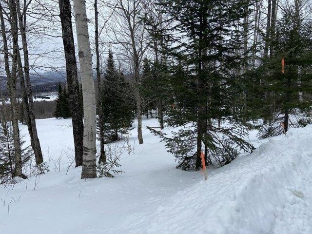 Warren VT 05674 102761652