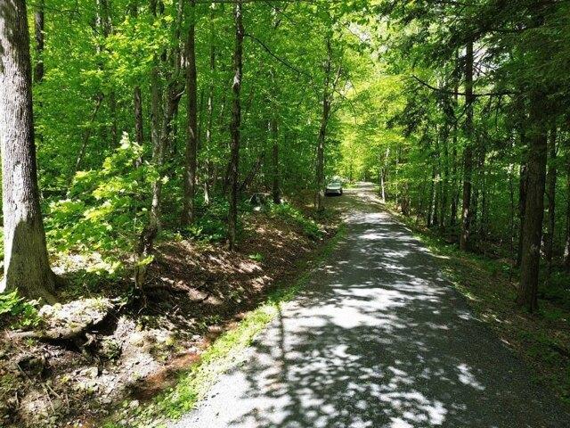 Warren VT 05674 103099586