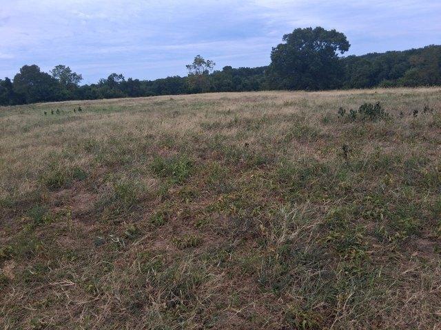 Washburn, MO 65772