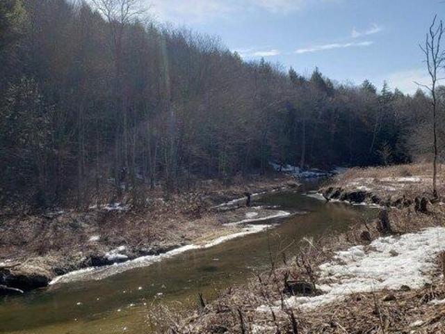 Washington MA 01223 89117070