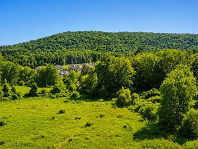 Washington Mountain Rd, Dalton, Plot For Sale