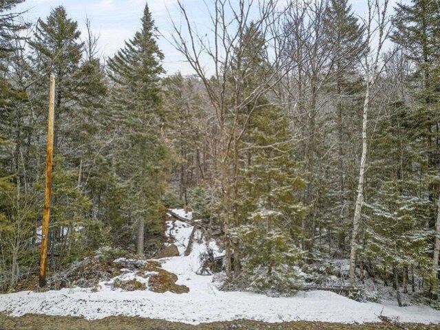 Washington NH 03280 103158428