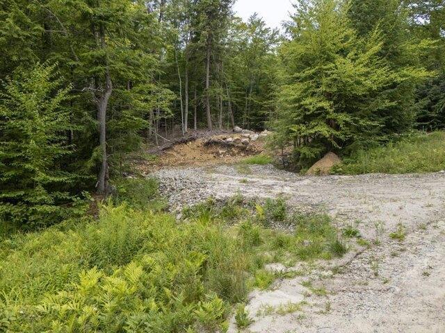 Washington NH 03280 105109601
