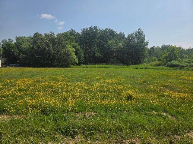 Washington Ave, Port Wing, WI 54865