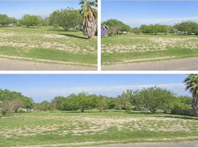 Washington Palm Dr, Penitas, TX 78576