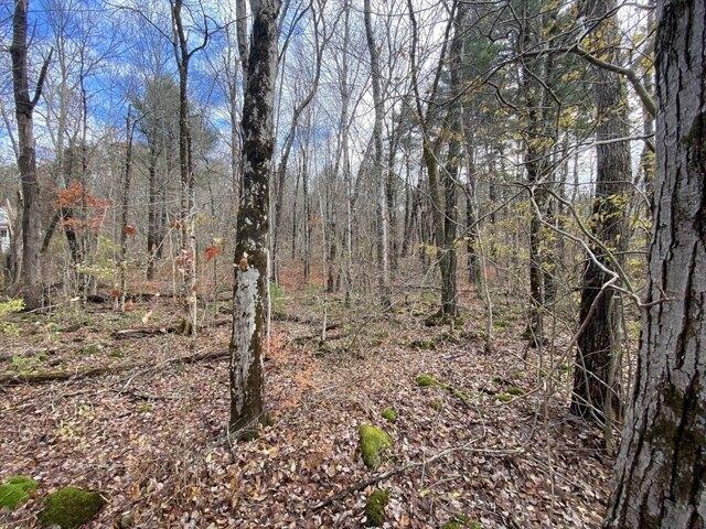 Washington Rd Lot,brimfield, Plot For Sale