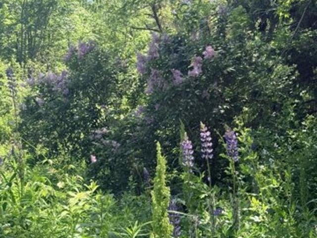 Washington Rd, Waldoboro, Home For Sale
