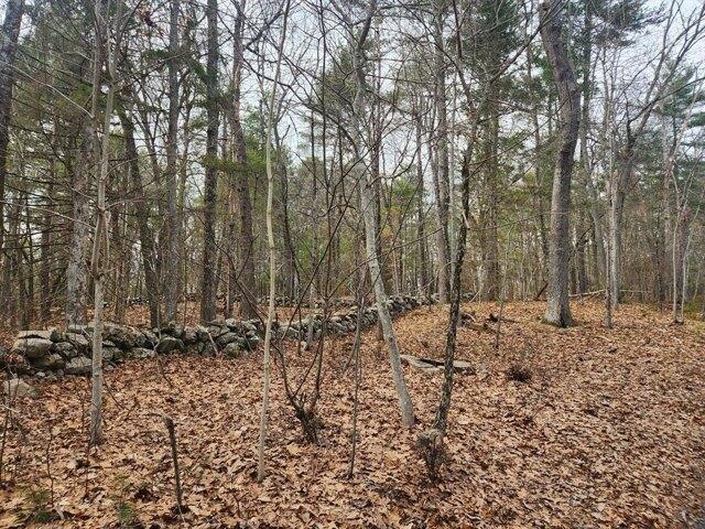 Washington St Lot,sherborn, Plot For Sale