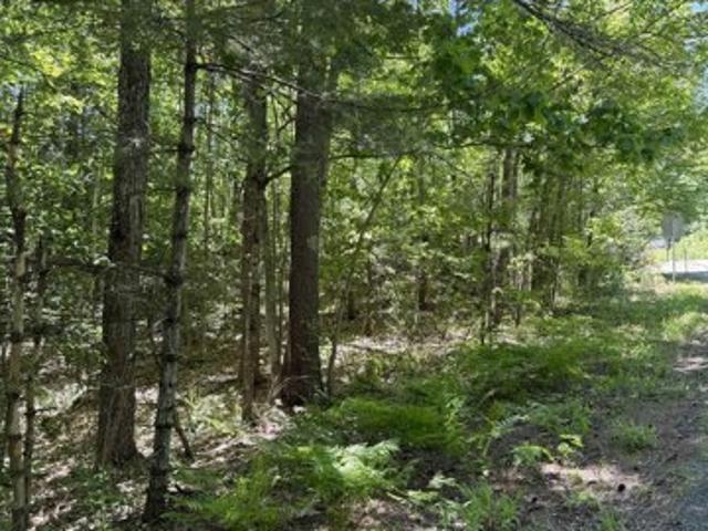 Washington St Lots, Barrington, Plot For Sale