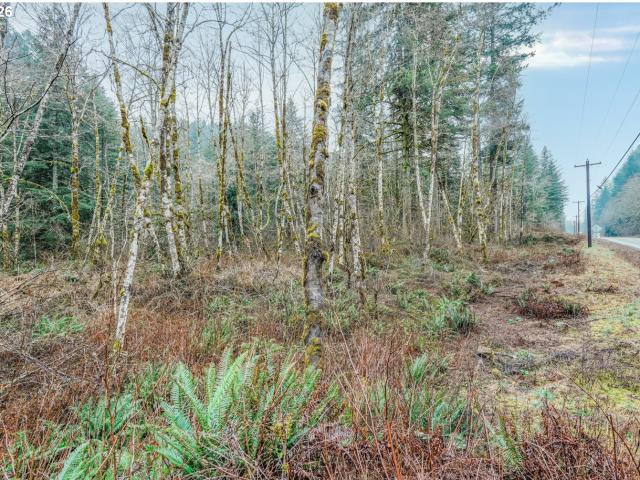 Washougal river rd