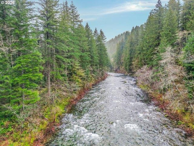 Washougal River Rd, Washougal, WA 98671