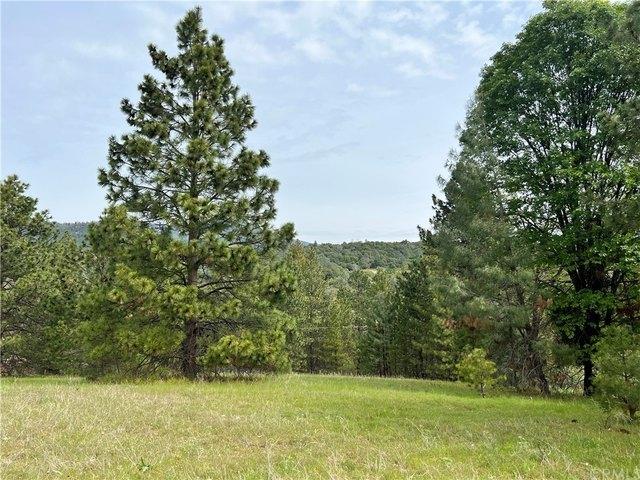 Watt Rd, Mariposa, CA 95338