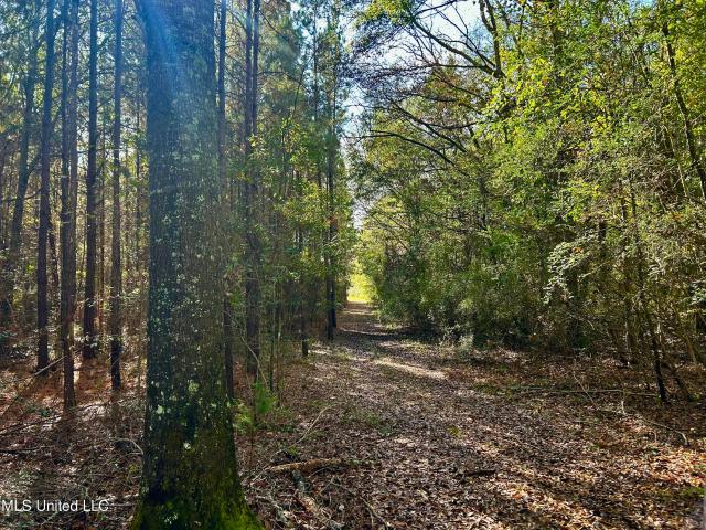 Watts Ln NW, Brookhaven, MS 39601 | MLS #4132 | Compass