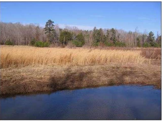 Water Valley, MS Yalobusha Country Land 23.84 acre for sale in Pine Flat, Mississippi