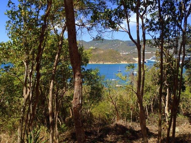 Water Is # Ss, Saint Thomas, Plot For Sale