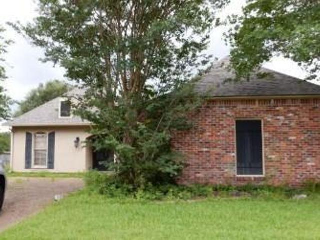 Water Oak Dr
