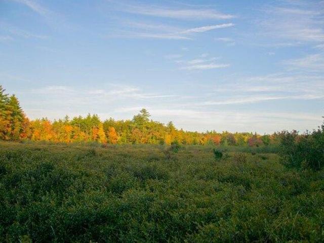 Waterboro ME 04061 104810795