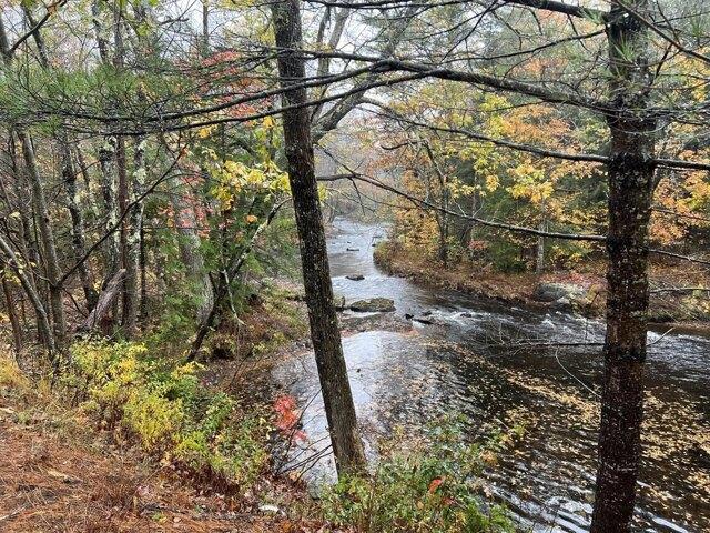 Waterford ME 04088 LS102634479