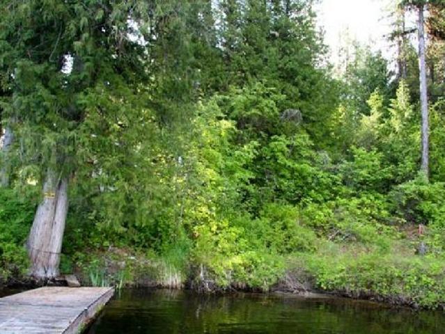 Waterfront Lot On Sacheen Lake