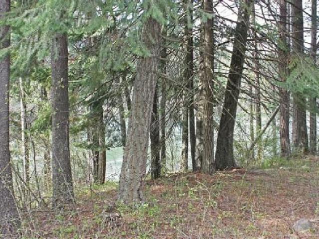 Waterfront with 3 Acre
